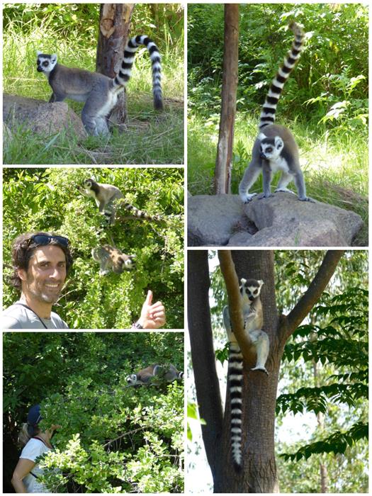 Anja Park - Un Viaje Pura Vida